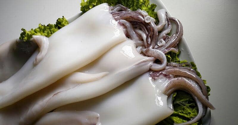 5 Jenis Cumi yang Bisa Diolah Menjadi Masakan Lezat | Popmama.com