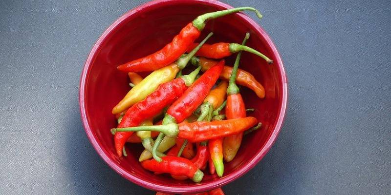 Segini Harga Cabe Rawit dan Merah 1 Kg Hari Ini | Popmama.com