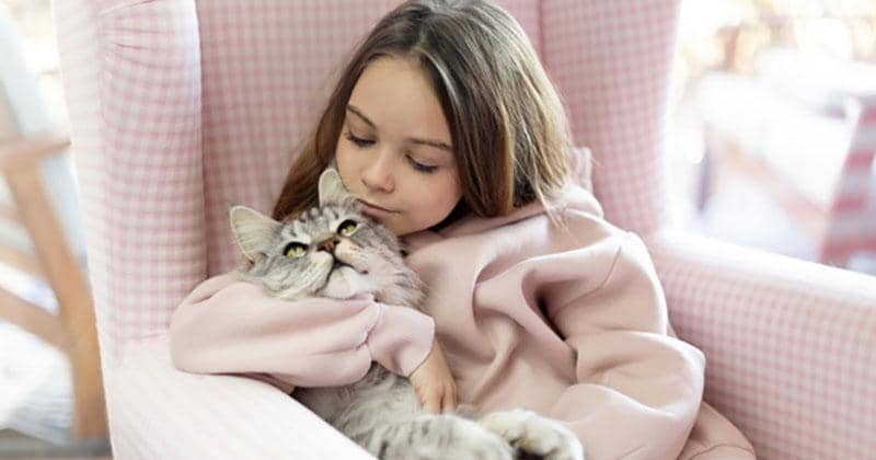 Siklus Hidup Kucing, Materi Kelas 3 SD Kurikulum Merdeka | Popmama.com