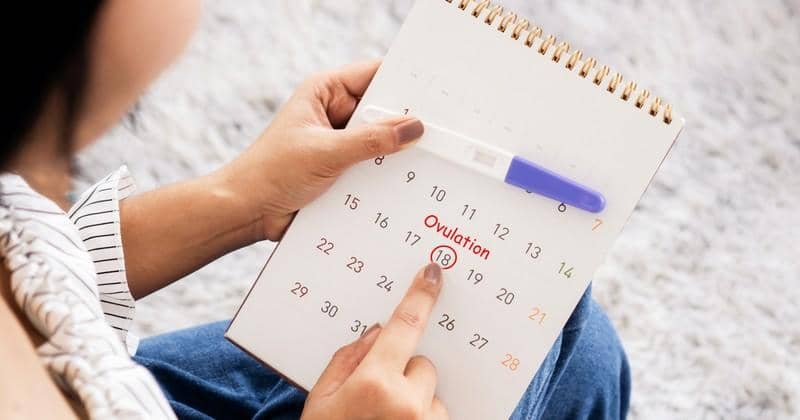 Tingkat Akurasi Kalender Cina untuk Program Hamil | Popmama.com