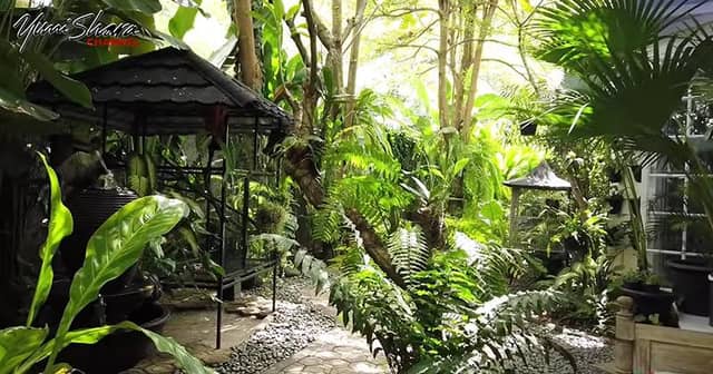 10 Foto Rumah Mewah Yuni Shara, Penuh dengan Tanaman | Popmama.com