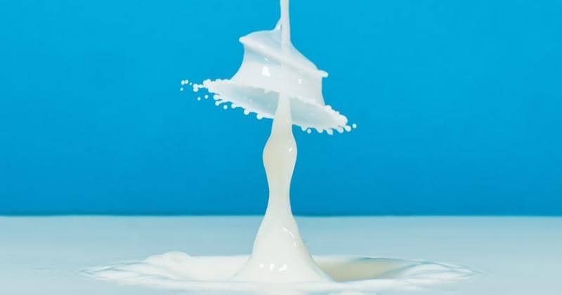 18 Rekomendasi Merk Susu Rendah Lemak untuk Diet dan Harga | Popmama.com
