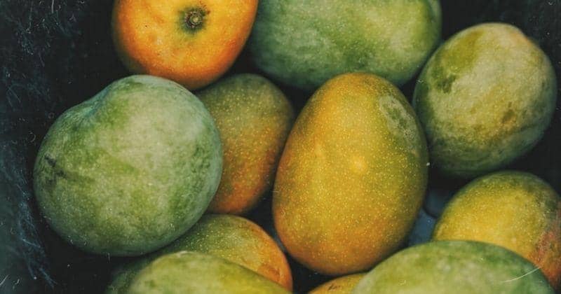 6 Tips Membuat Mangga Lebih Cepat Matang | Popmama.com