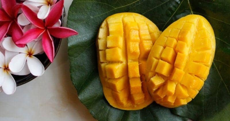6 Tips Membuat Mangga Lebih Cepat Matang | Popmama.com