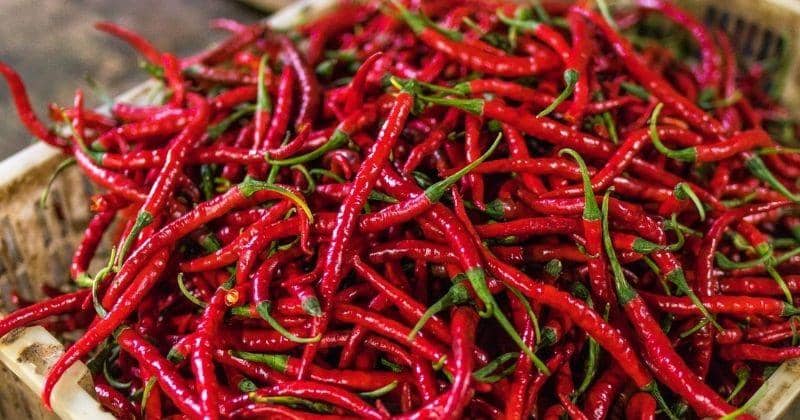 Segini Harga Cabe Rawit dan Merah 1 Kg Hari Ini | Popmama.com