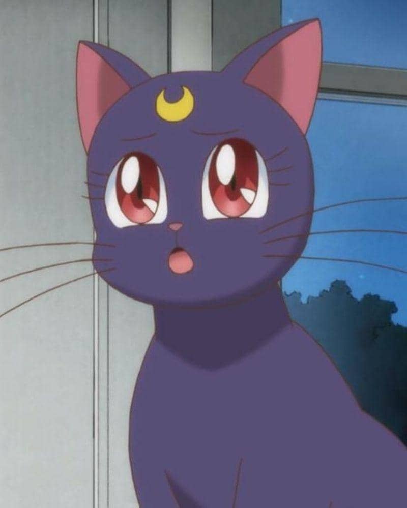 15 Tokoh Kucing yang Ada di Anime dan Kartun, Populer! | Popmama.com
