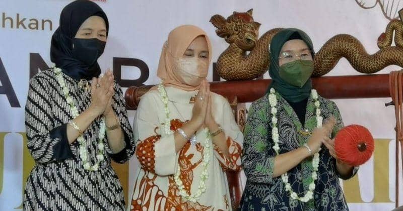 Biodata dan Profil Idayati Adik Jokowi | Popmama.com