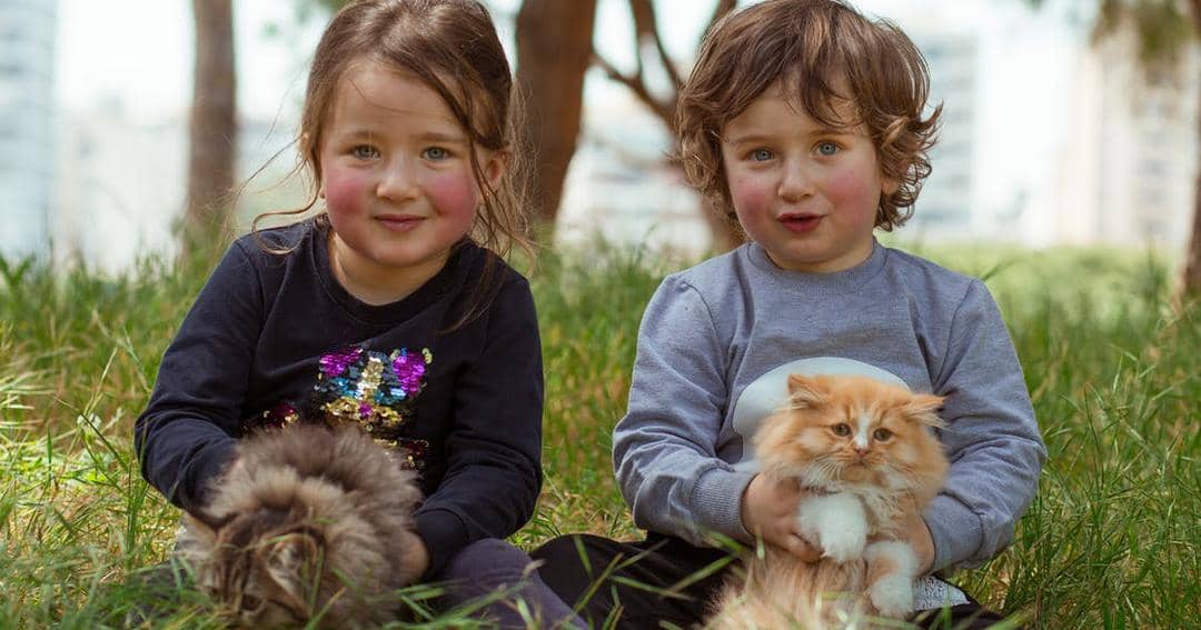 40 Jenis-Jenis Kucing dari Berbagai Ras | Popmama.com