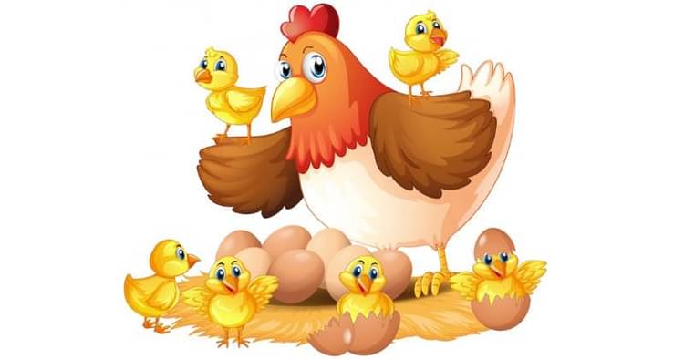 10 Jenis Hewan yang Berkembang biak dengan Bertelur | Popmama.com