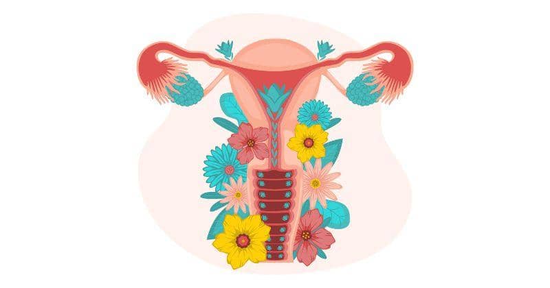 Ketahui Struktur Alat Reproduksi Perempuan Beserta Fungsinya | Popmama.com