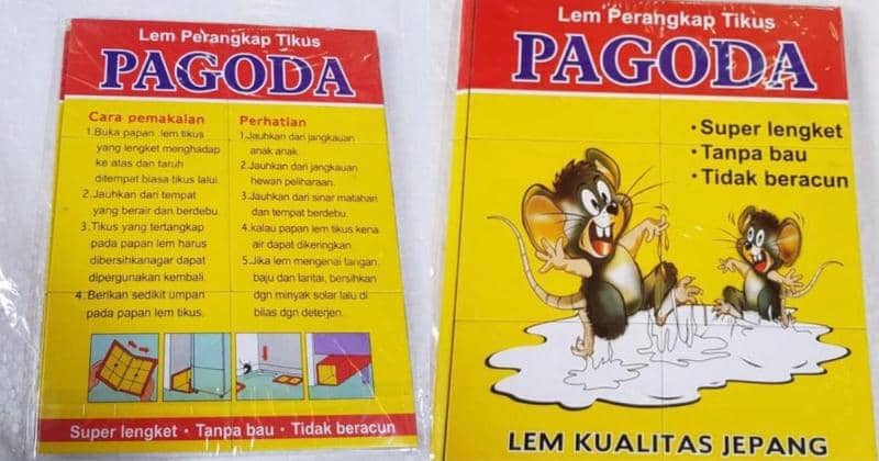 9 Rekomendasi Lem Tikus Beserta Harganya | Popmama.com