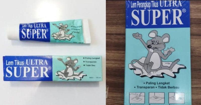 9 Rekomendasi Lem Tikus Beserta Harganya | Popmama.com