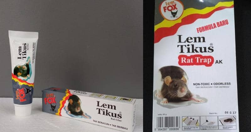 9 Rekomendasi Lem Tikus Beserta Harganya | Popmama.com