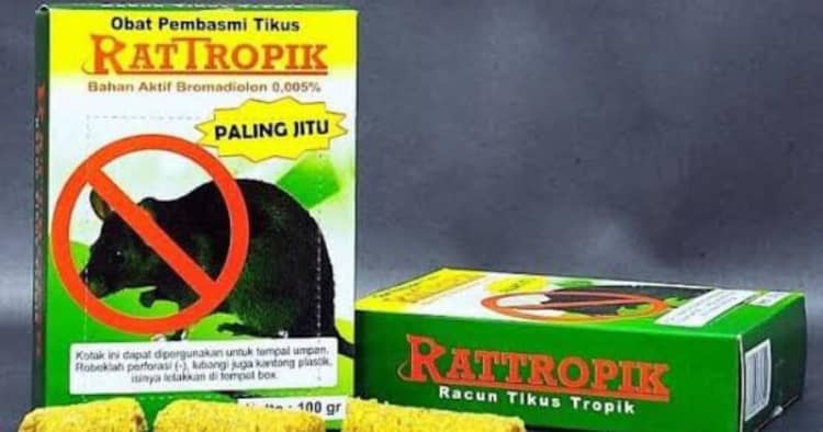12 Rekomendasi Merk Racun Tikus Beserta Harganya | Popmama.com
