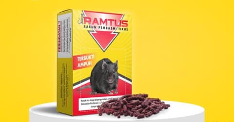 12 Rekomendasi Merk Racun Tikus Beserta Harganya | Popmama.com