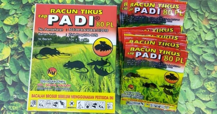 12 Rekomendasi Merk Racun Tikus Beserta Harganya | Popmama.com