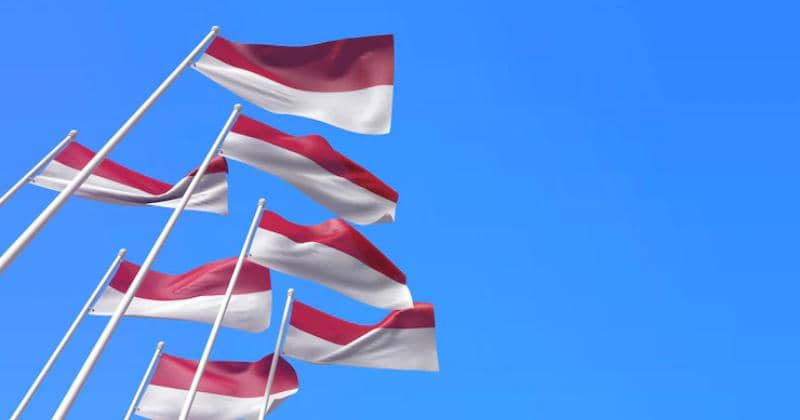 Susunan Upacara 17 Agustus yang Benar dan Lengkap | Popmama.com