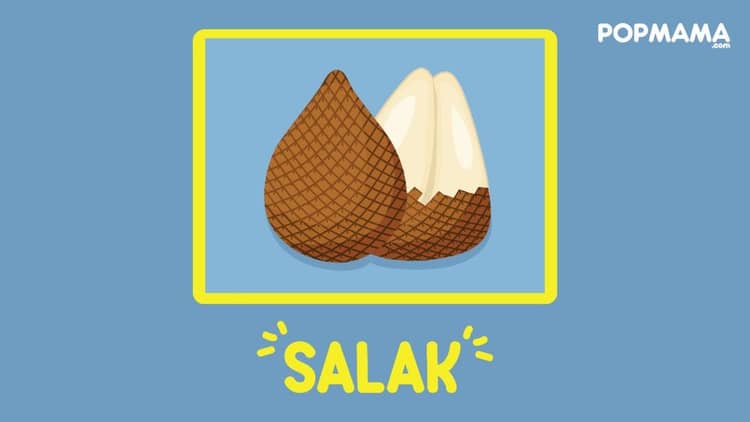 9 Nama Buah dari Huruf S | Popmama.com