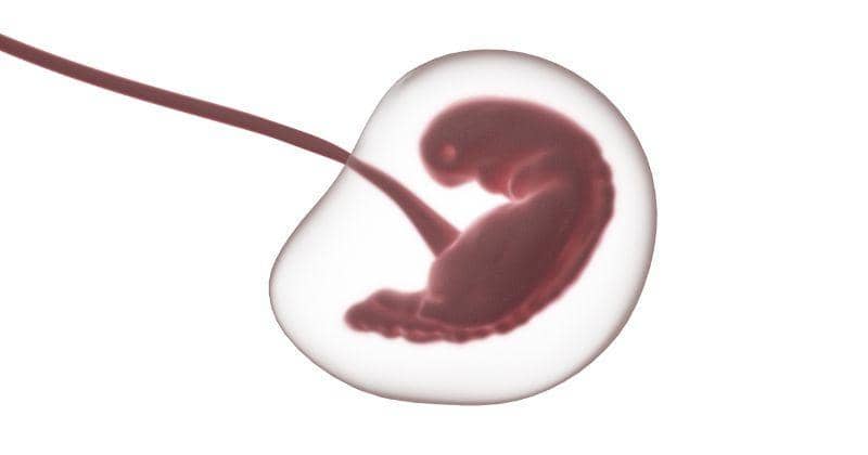 Cara Menguburkan Janin yang Keguguran sebelum Usia 4 Bulan | Popmama.com