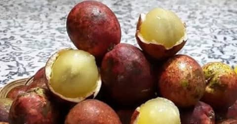 10 Nama-Nama Buah dari huruf M, Beri Tahu Si Kecil Yuk Ma! | Popmama.com
