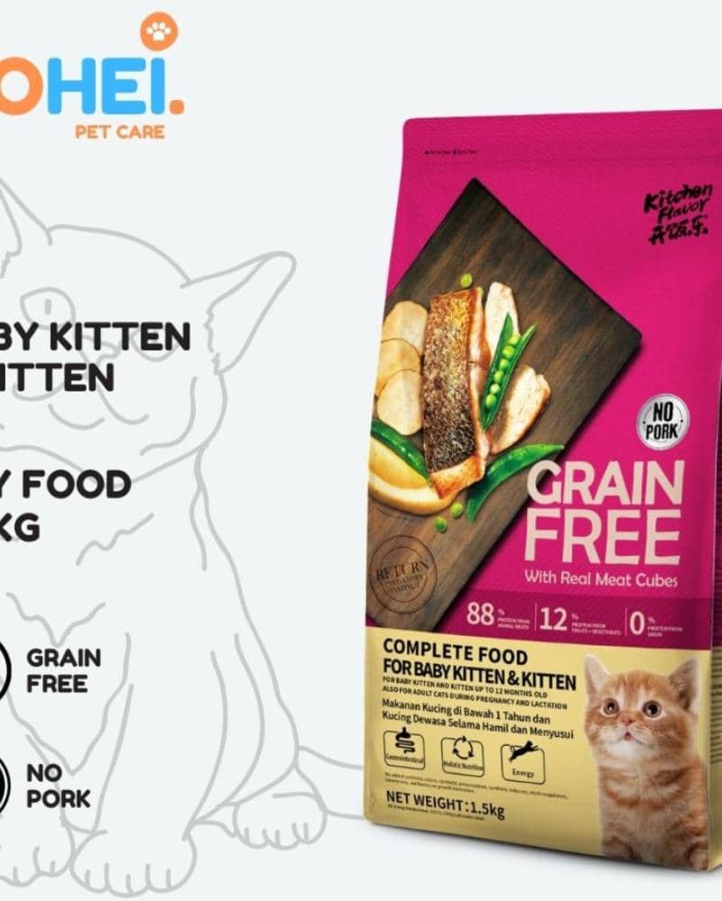 7 Makanan Kucing yang Murah dan Bagus, di Bawah Rp100 Ribu | Popmama.com