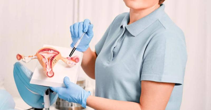 9 Organ Reproduksi Wanita dan Fungsinya, Penting Diketahui | Popmama.com
