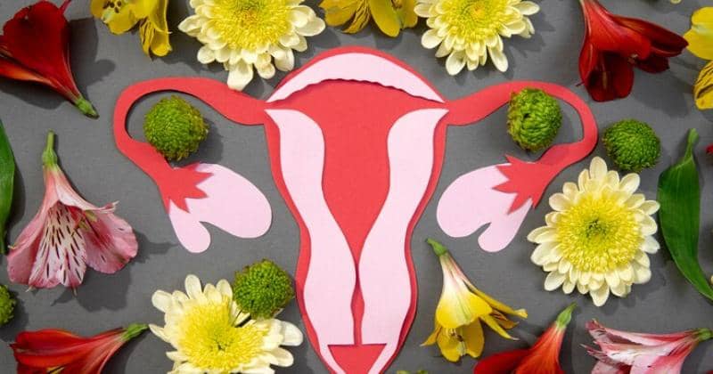 9 Organ Reproduksi Wanita dan Fungsinya, Penting Diketahui | Popmama.com