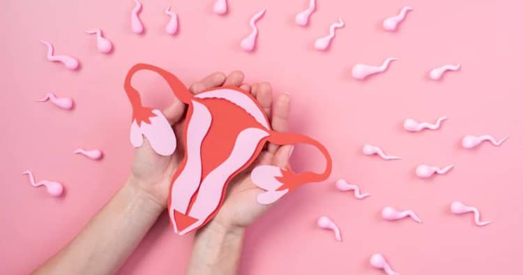 9 Organ Reproduksi Wanita dan Fungsinya, Penting Diketahui | Popmama.com