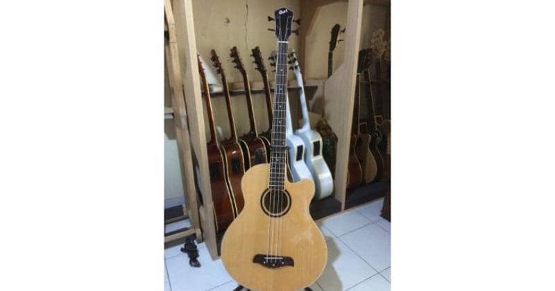 15 Jenis-Jenis Gitar dan Kisaran Harganya | Popmama.com