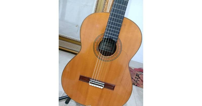 15 Jenis-Jenis Gitar dan Kisaran Harganya | Popmama.com