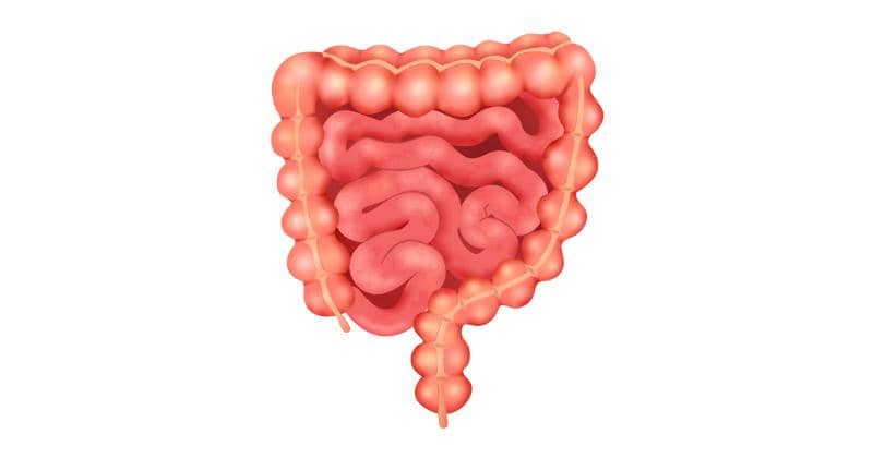 10 Penyebab Feses Warna Hitam dan Cara Mengatasinya | Popmama.com