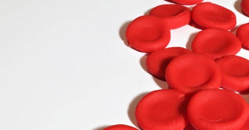 Mengenal Apa Itu Hemoglobin dan Kadar Normalnya | Popmama.com