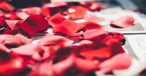 Jenis Turunan Warna Merah, Ada Merah Marun hingga Kirmizi | Popmama.com