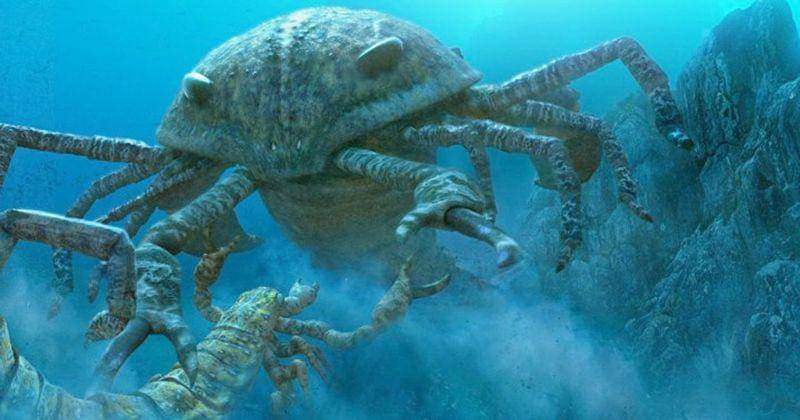 20 Monster Terbesar di Laut! Menakjubkan! | Popmama.com