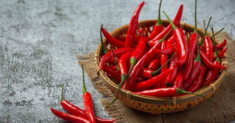 Harga Cabe Rawit dan Merah 1 Kg Hari Ini | Popmama.com