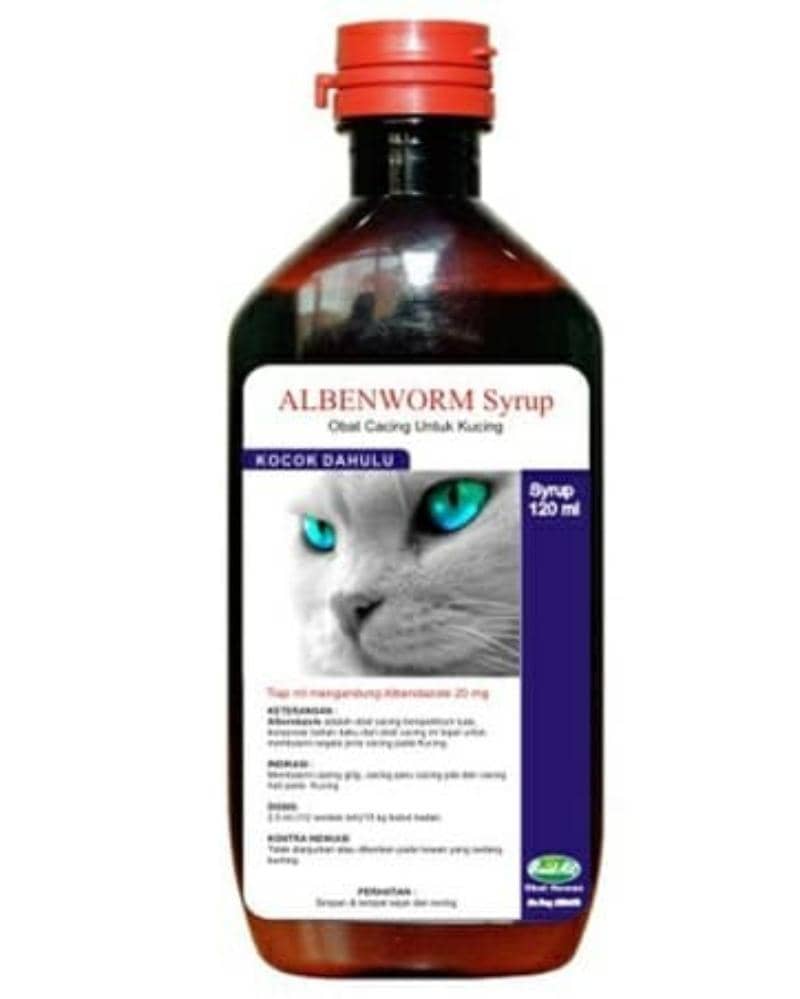5 Obat Cacing Kucing yang Bagus, Ampuh Basmi Parasit | Popmama.com