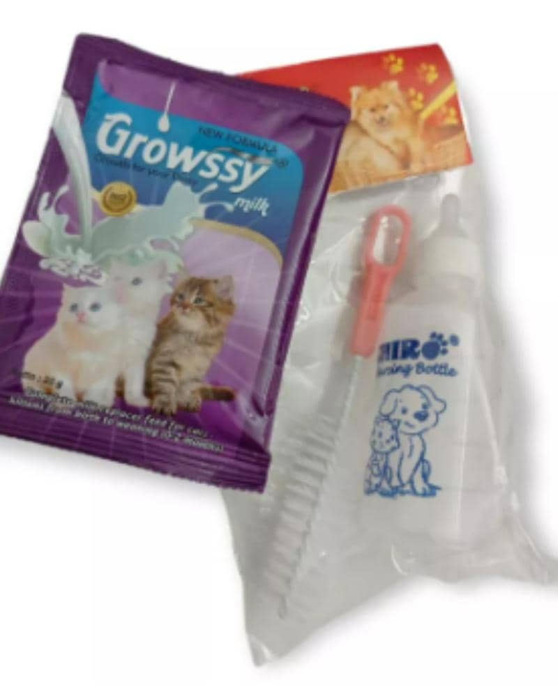 11 Merek Susu Kucing Terbaik untuk Dukung Pertumbuhan Anabul | Popmama.com