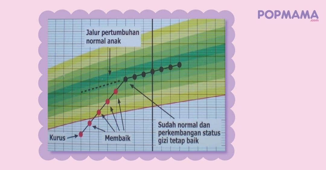 Cara Membaca Kartu Menuju Sehat (KMS), Mudah Dipahami Pemula | Popmama.com