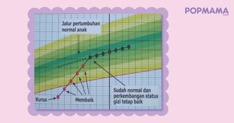 Cara Membaca Kartu Menuju Sehat (KMS), Mudah Dipahami Pemula | Popmama.com
