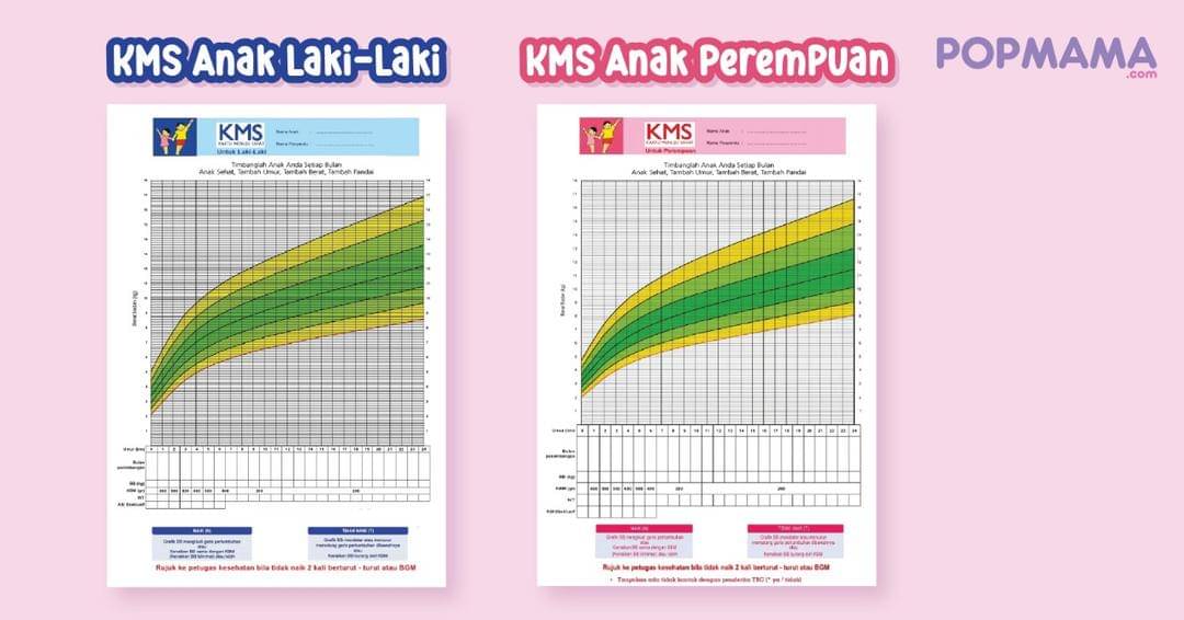 Cara Membaca Kartu Menuju Sehat (KMS), Mudah Dipahami Pemula | Popmama.com