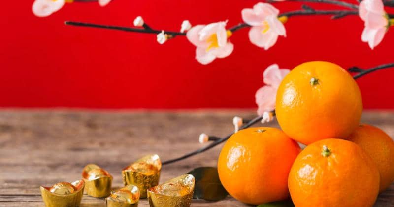 12 Bunga Imlek yang Dipercaya Membawa Hoki dan Rezeki | Popmama.com