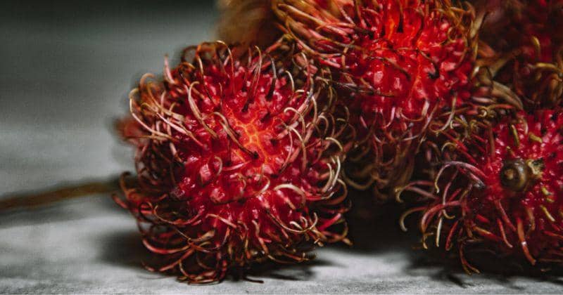 4 Nama-Nama Buah dari Huruf R, Wajib Tahu | Popmama.com