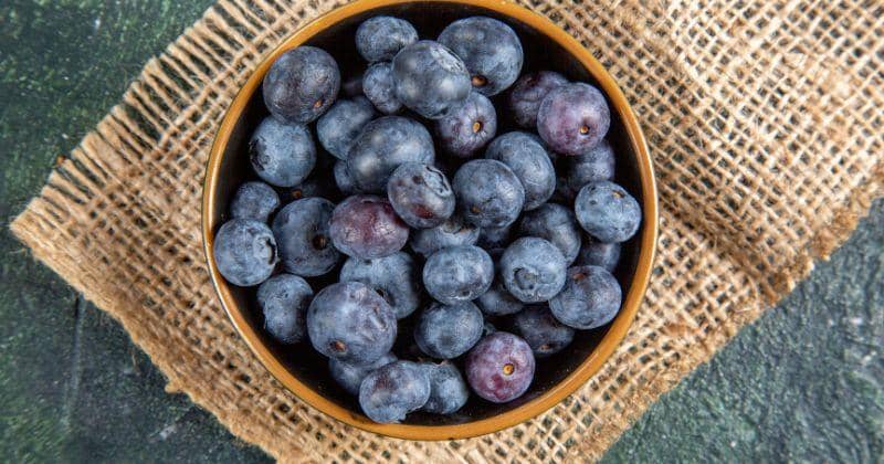 10 Nama Buah dari Huruf B, Wajib Tahu | Popmama.com