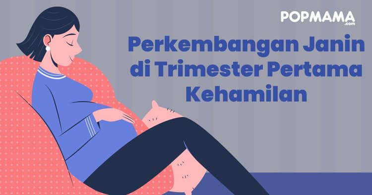 Gambar Perkembangan Janin di Trimester Pertama Kehamilan | Popmama.com