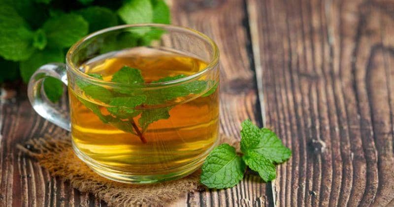 Spearmint Tea: Seduhan Teh yang Bermanfaat Bagi Kesehatan | Popmama.com