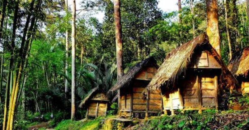 Mengenal Rumah Adat Suku Baduy yang Unik dan Punya Ciri Khas | Popmama.com