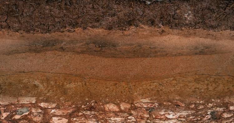 6 Lapisan Horizon Penyusun Tanah | Popmama.com