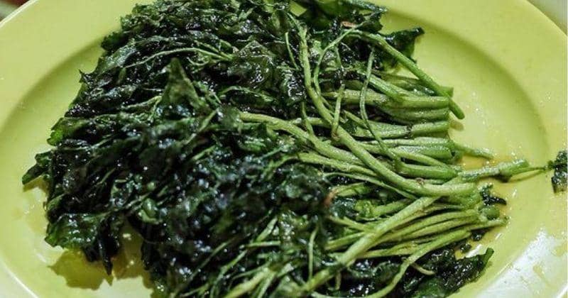 Ini Resep Selada Goreng ala Bu Imas Bandung | Popmama.com