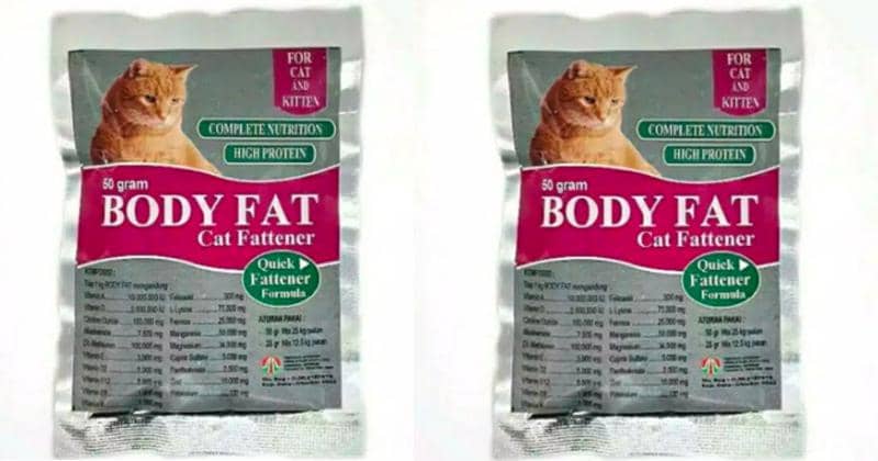 12 Rekomendasi Vitamin Kucing yang Bagus Beserta Harganya | Popmama.com
