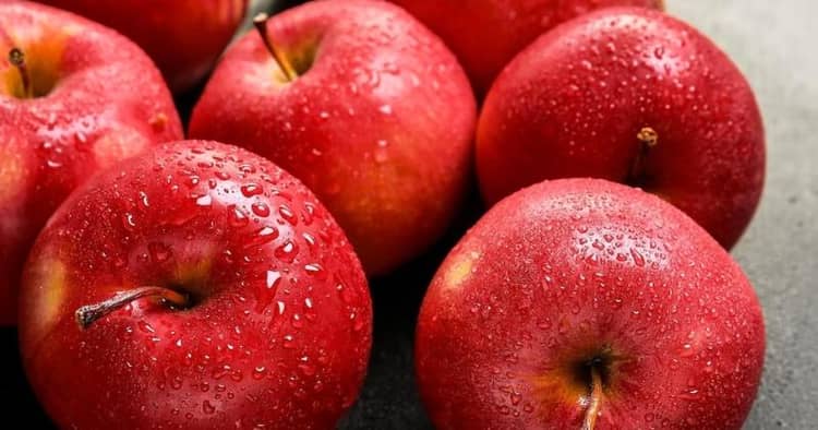 15 Buah yang Bagus untuk Promil, Bantu Tingkatkan Kesuburan | Popmama.com
